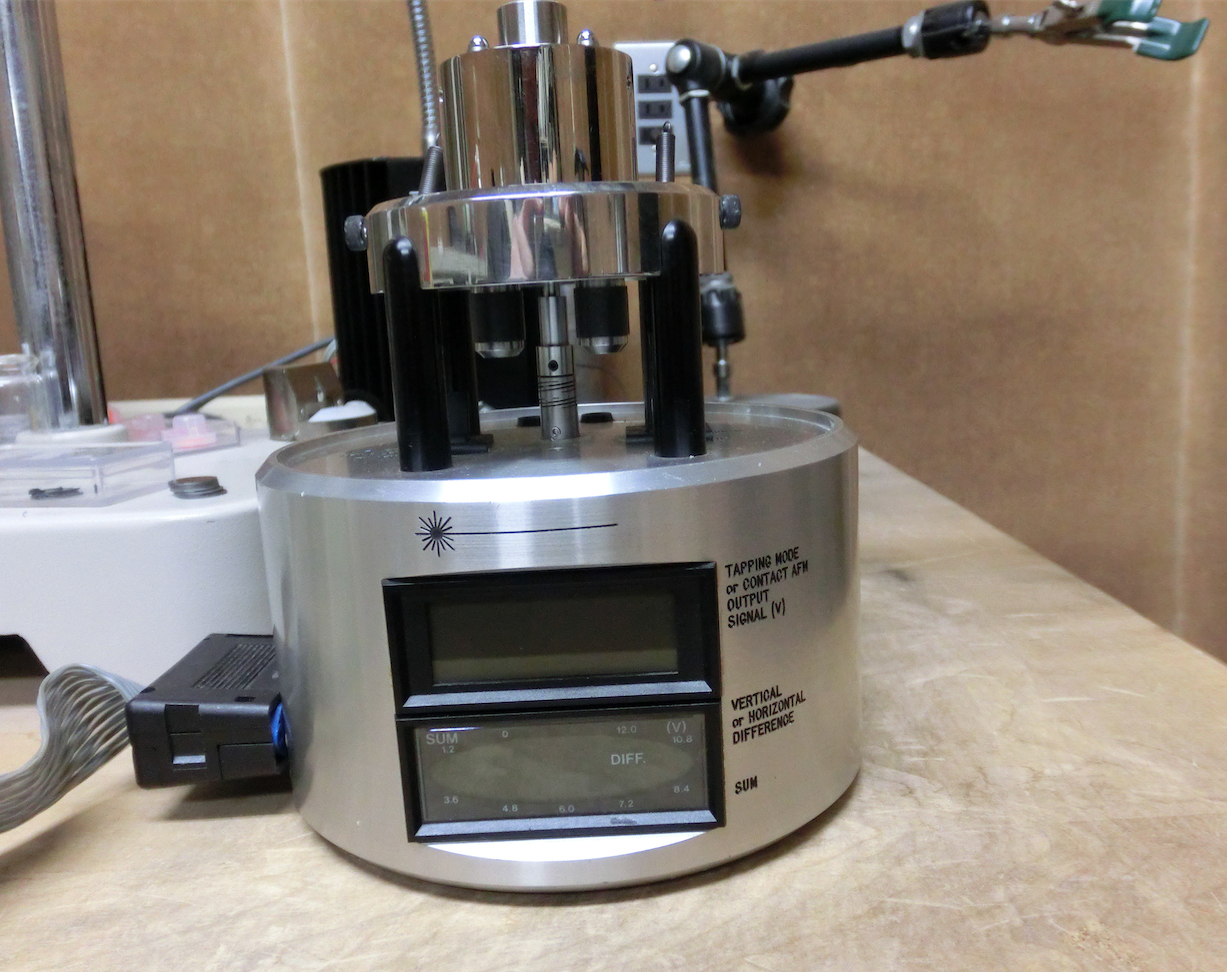 06_STM | Global Food Resource | Hokkaido University